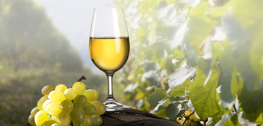 Falanghina : Prestigious Imperial Italian Wine - Mediterraneo Trade ...